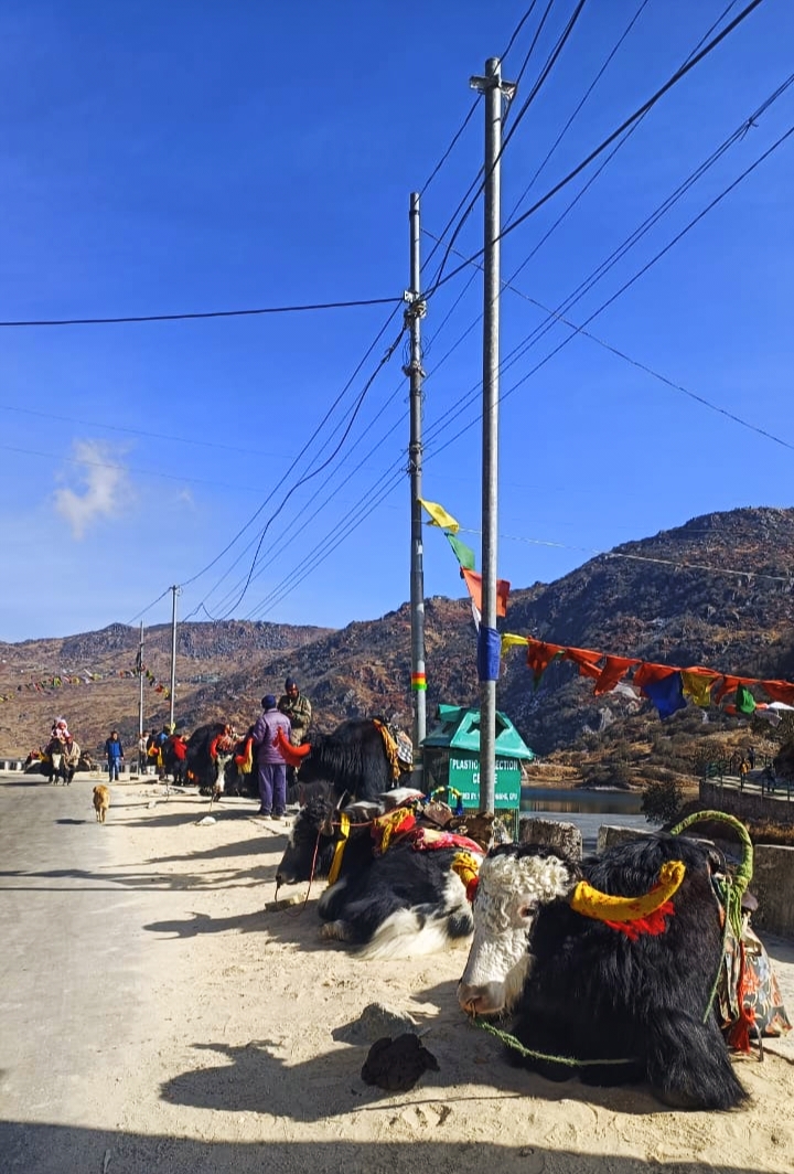 Course – kudum.org.in